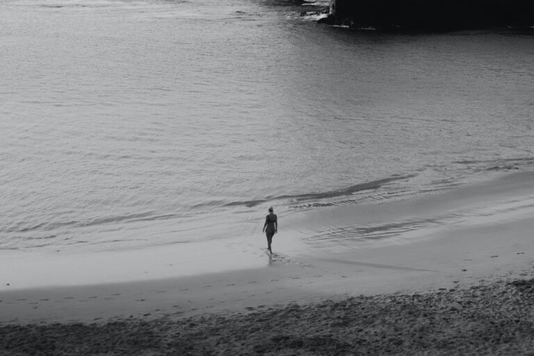 Different Trauma Responses in Adults: Fight, Flight, Freeze & Fawn